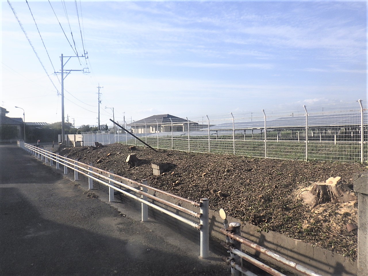 吹上 樹木伐採工事 3/17 – 有限会社浜名クリー｜浜松市の産業廃棄物・一般廃棄物収集運搬