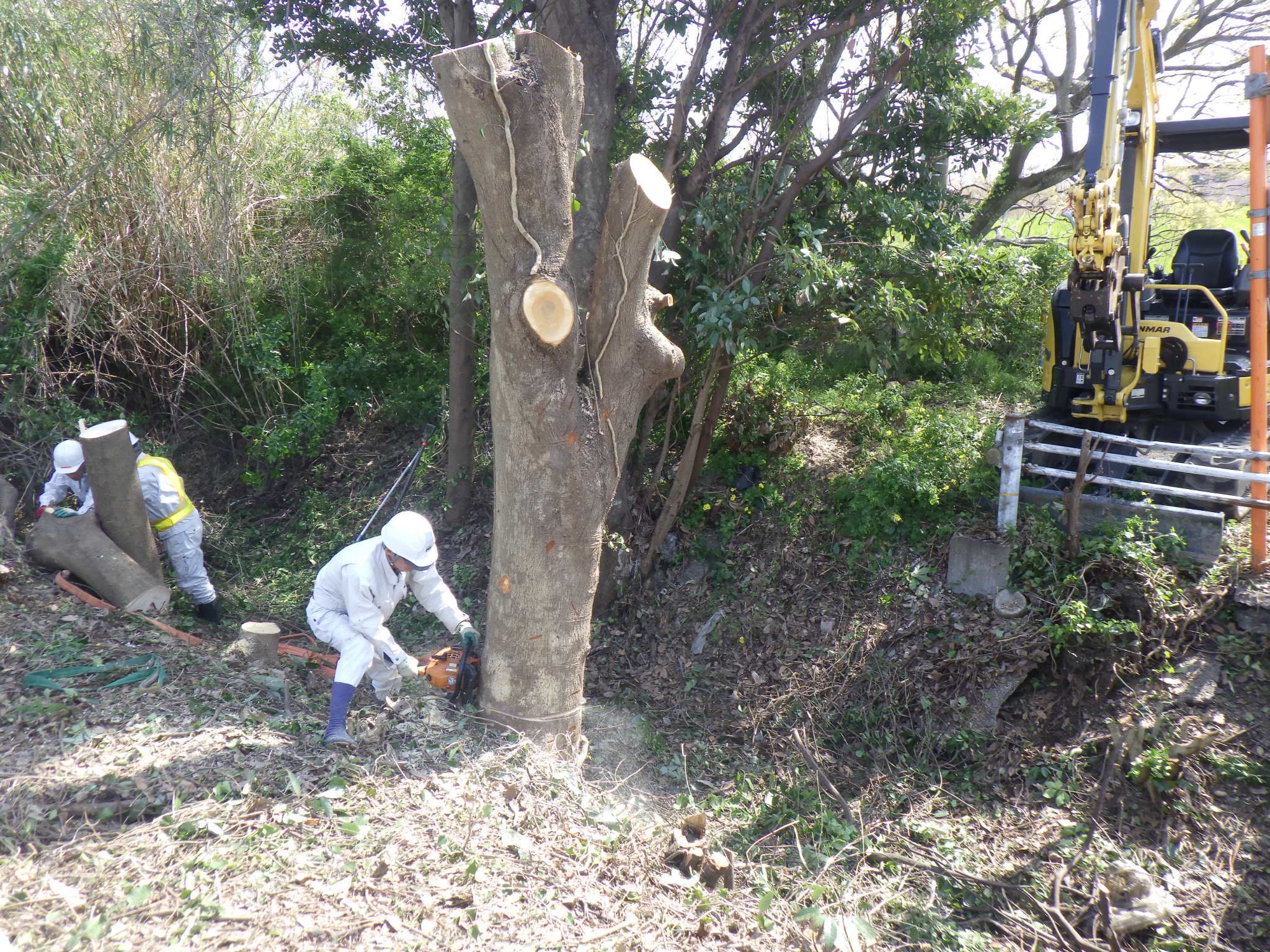 伐採廃棄物 – 一般廃棄物と産業廃棄物の違い 木くず , これって産廃？一廃？その① – BMZW