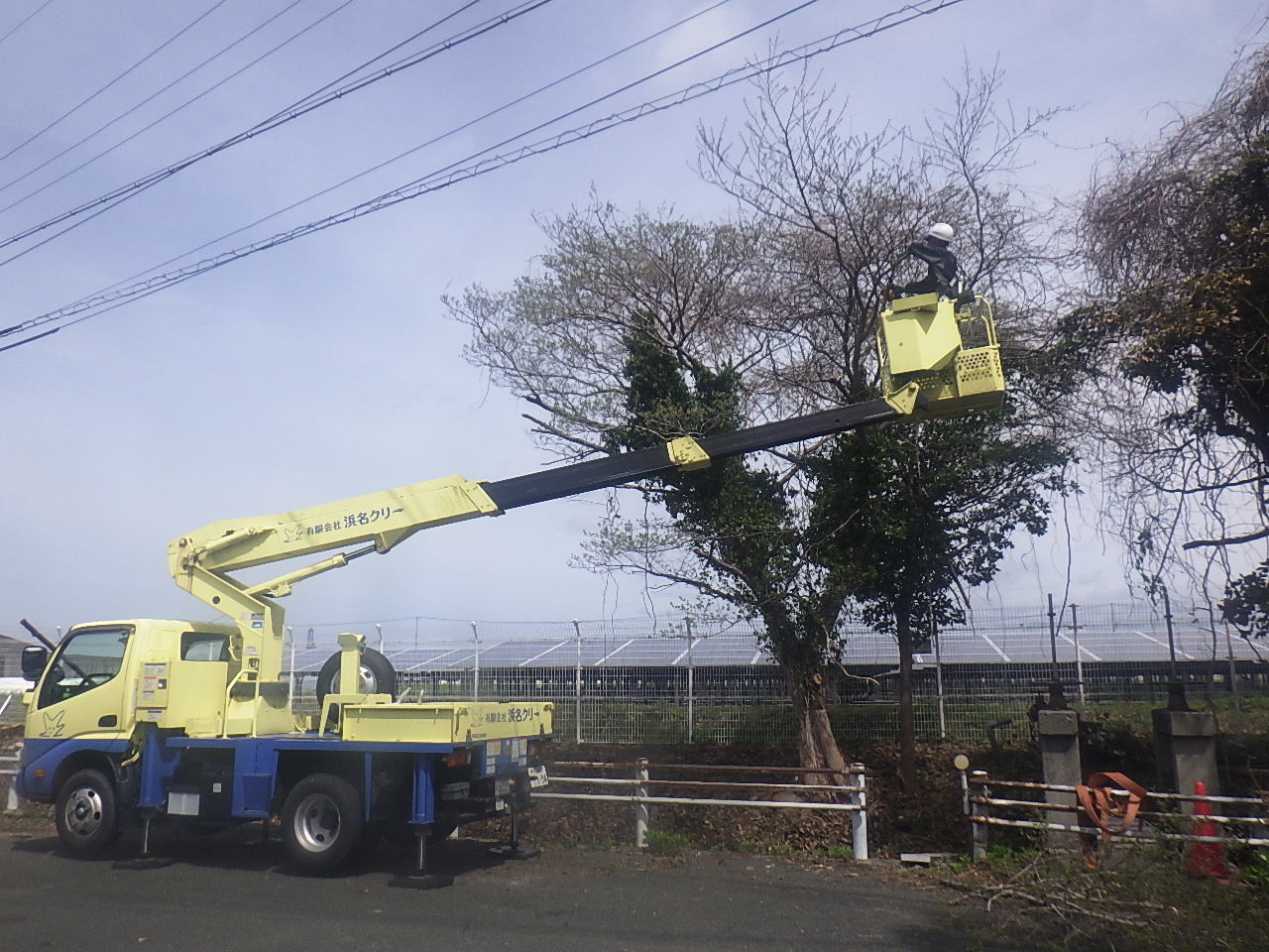 吹上 樹木伐採工事 3/17 – 有限会社浜名クリー｜浜松市の産業廃棄物・一般廃棄物収集運搬