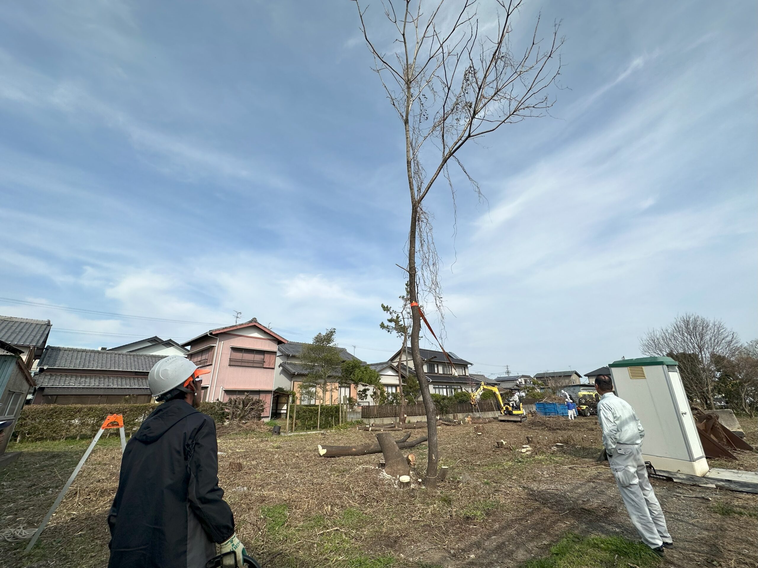 豊西町 H様 伐採 2/15 – 有限会社浜名クリー｜浜松市の産業廃棄物・一般廃棄物収集運搬