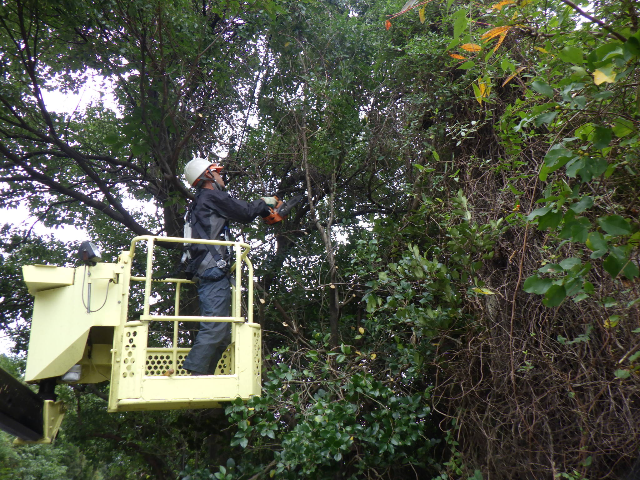 浜松環状線（和地地区）道路維持工事 11/21 – 有限会社浜名クリー｜浜松市の産業廃棄物・一般廃棄物収集運搬