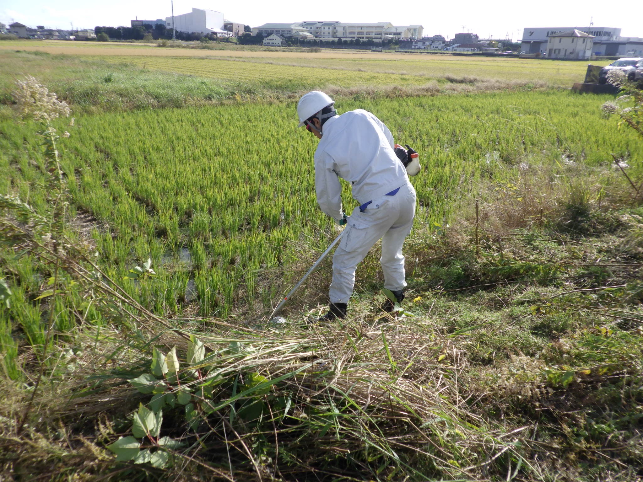 H様 管理地除草 11/28 – 有限会社浜名クリー｜浜松市の産業廃棄物・一般廃棄物収集運搬