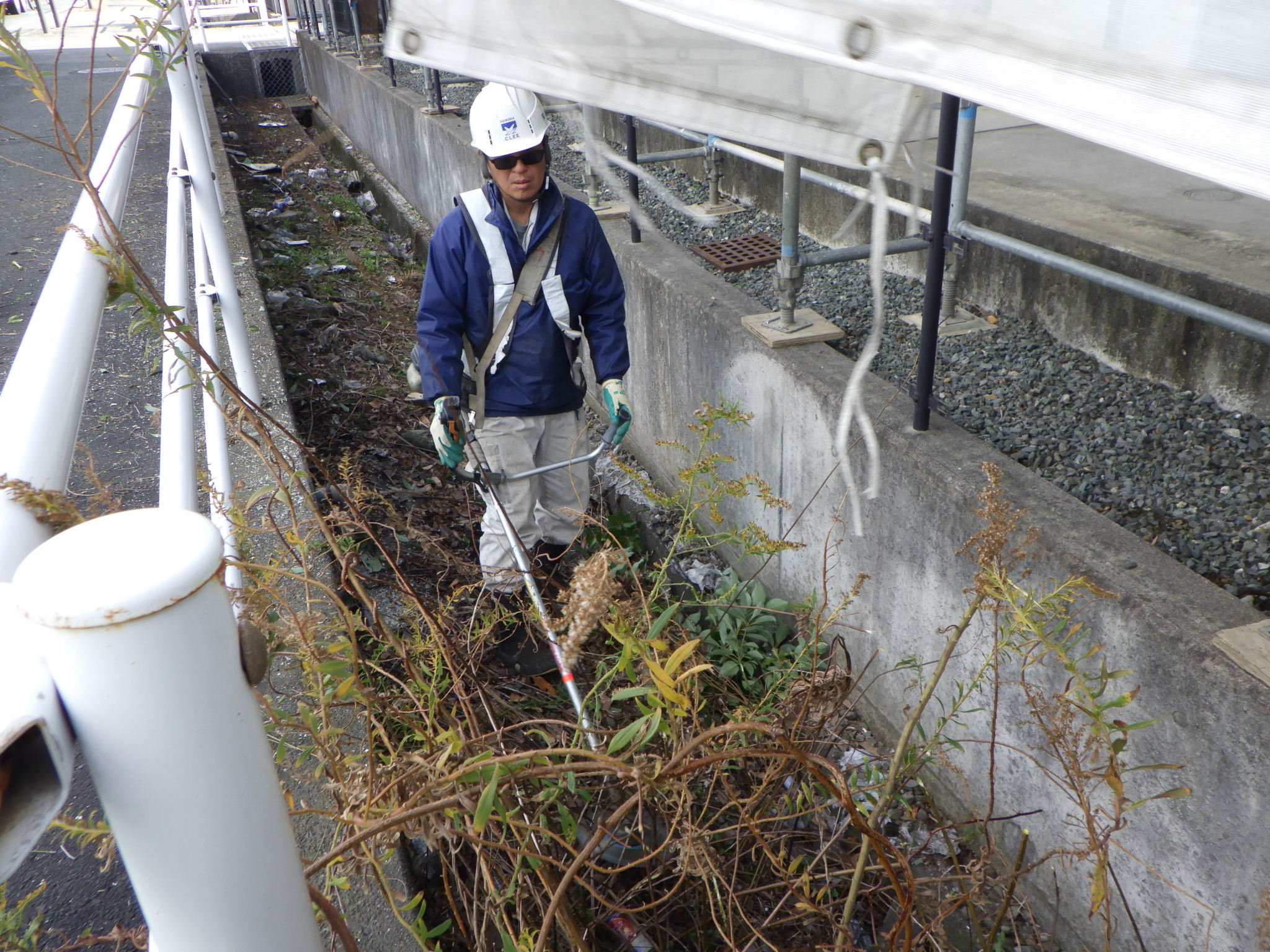 国道301号線 除草伐採 2/5 - 有限会社浜名クリー｜浜松市の産業廃棄物・一般廃棄物収集運搬