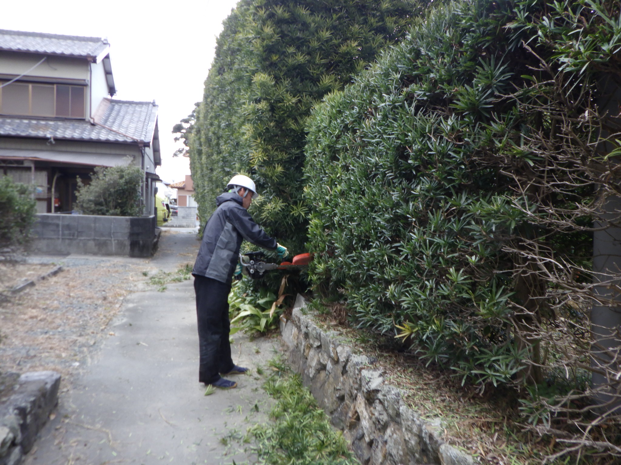 M様 敷地内除草 1/29 – 有限会社浜名クリー｜浜松市の産業廃棄物・一般廃棄物収集運搬