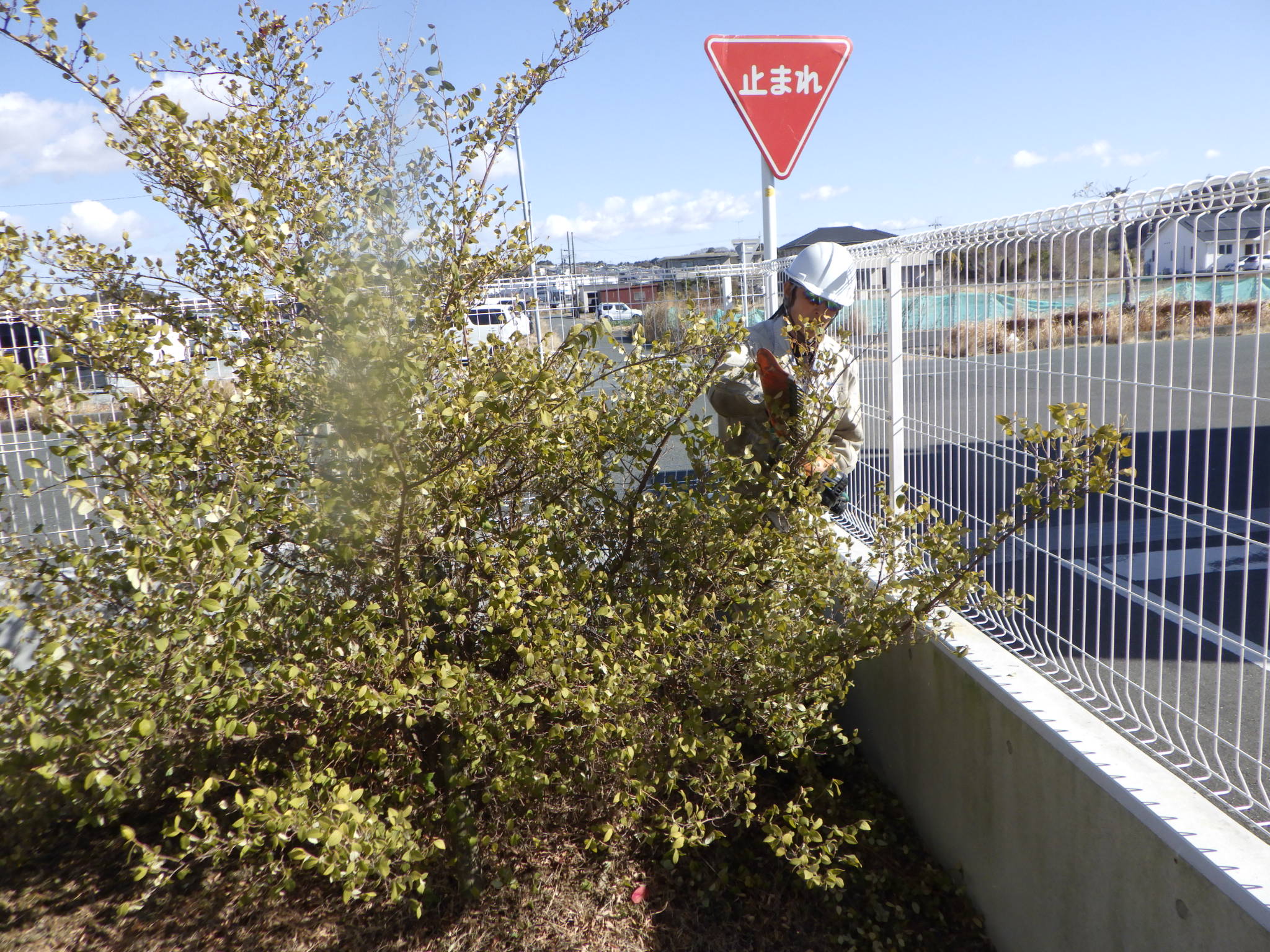 除草剪定 2/2 – 有限会社浜名クリー｜浜松市の産業廃棄物・一般廃棄物収集運搬